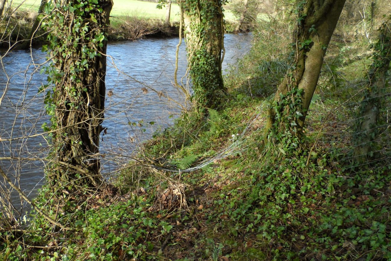 Permission to fish the Loddiswell Station water - Avon Fishing Association